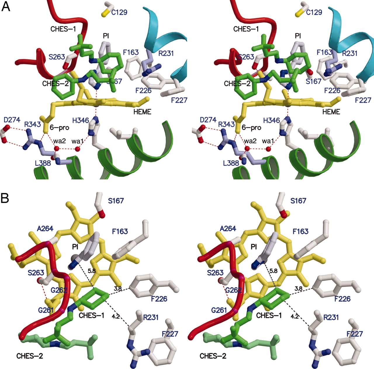 Crystal Structure of IDO | Leaders in Pharmaceutical Business ...