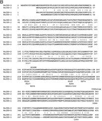 IDO gene sequence | Leaders in Pharmaceutical Business Intelligence ...
