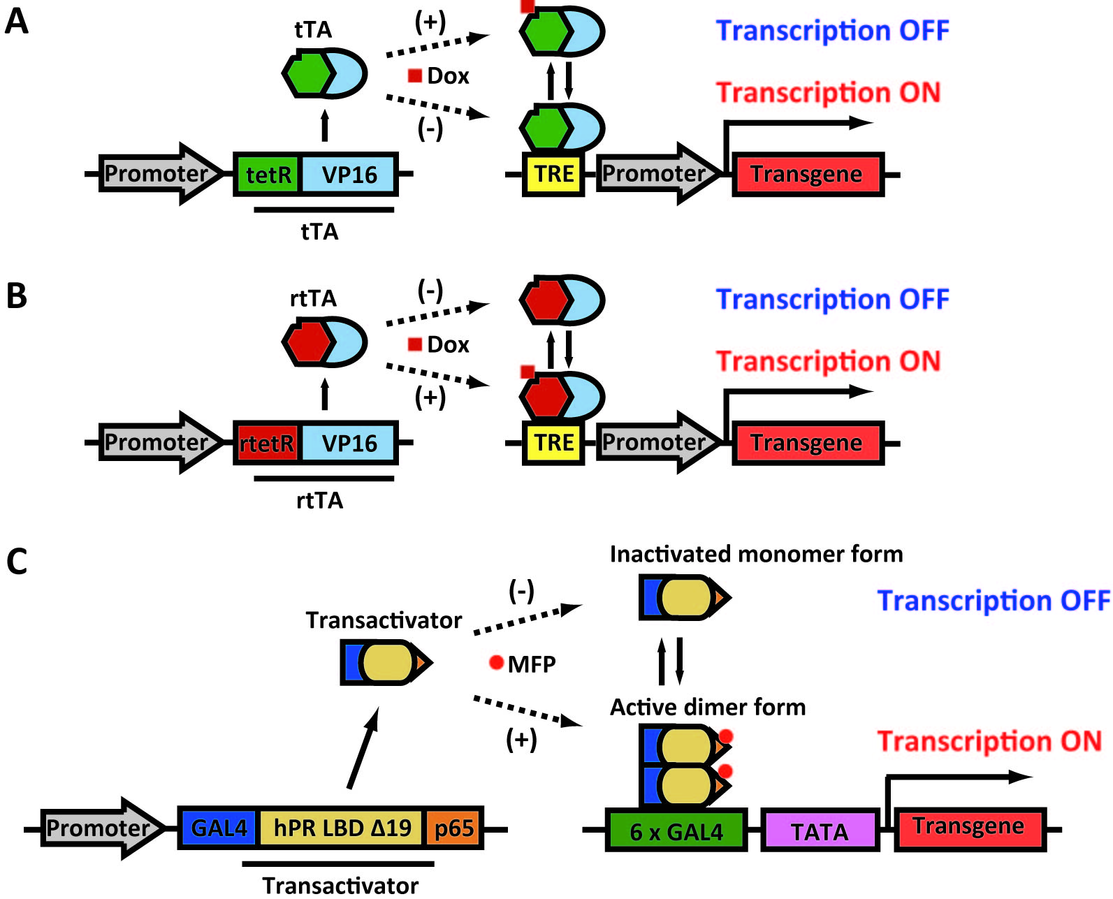 Genomics and Epigenetics: Genetic Errors and Methodologies – Cancer and ...