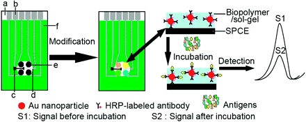 Schematic diagrams of immunosensors array and multianalyte ...