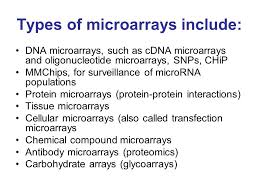 Types of microarrays | Leaders in Pharmaceutical Business Intelligence ...