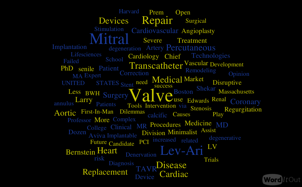 Less is More: Minimalist Mitral Valve Repair: Expert Opinion of Prem S ...