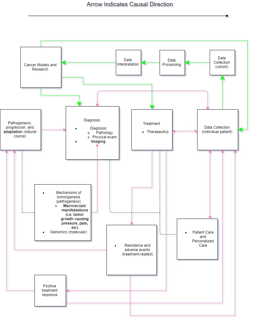 Cancer Healthcare Flow Chart | Leaders in Pharmaceutical Business ...
