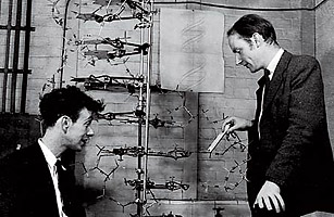 time crick and watson | Leaders in Pharmaceutical Business Intelligence ...